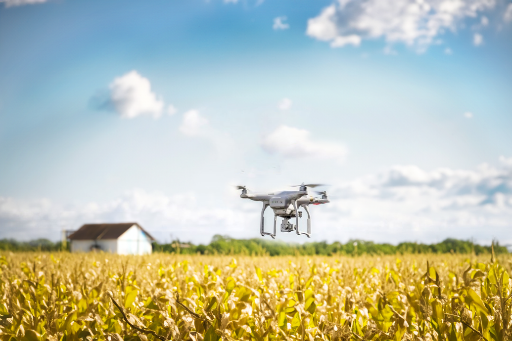 UAVs in Precision Agriculture - Geoversity™