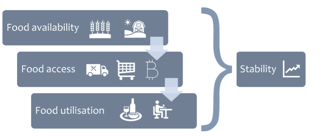 What is food security? - Geoversity™