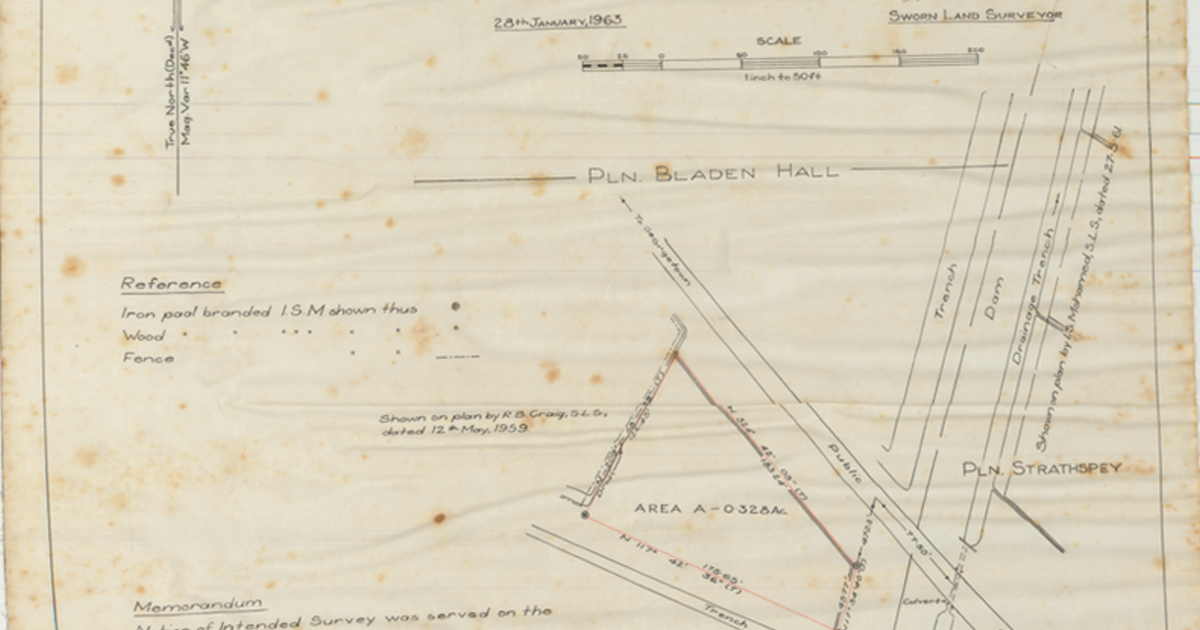 From Paper to Pixel: The Challenge and Vision of Survey Plan ...