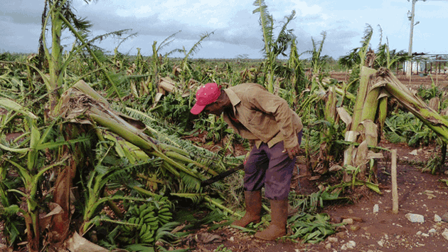 What is food security? - Geoversity™