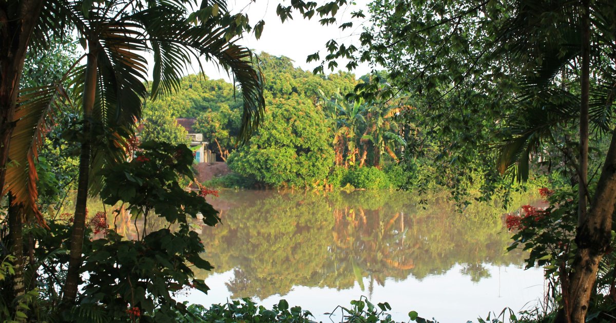 How water pollution affects shrimp farms - Geoversity™