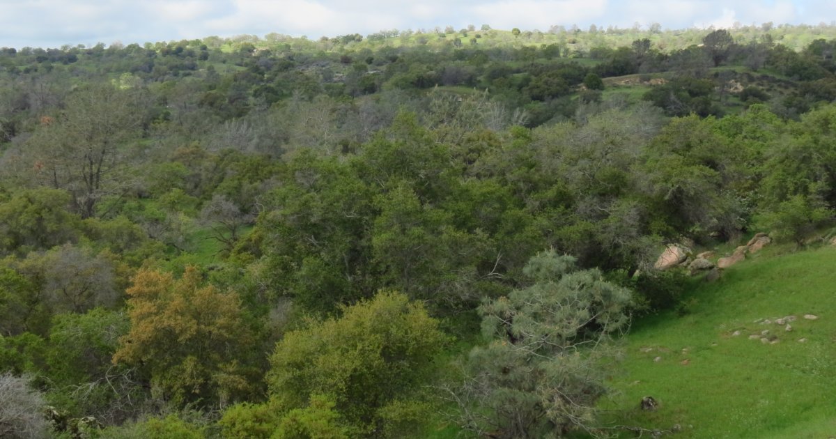 Travelling back in time to understand the present and predict the ...